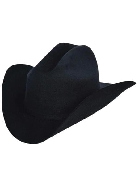Wool Felt Lana Los Altos Hats-Valentin Style Cowboy Hat Leather 4x ...